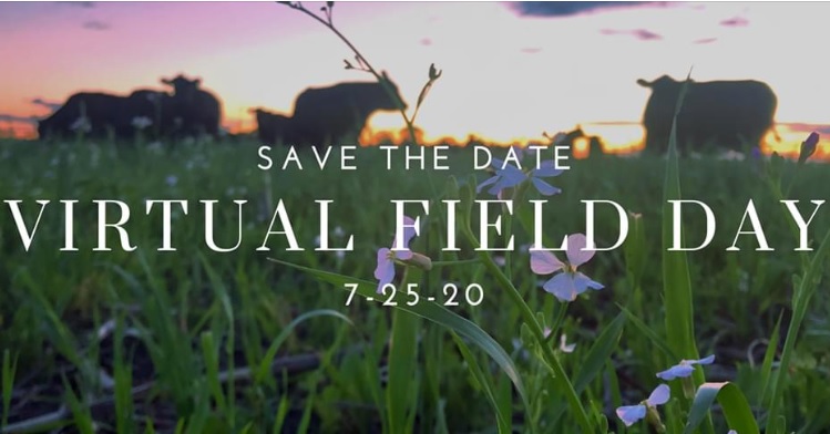 Virtual Field Day with MNSHC and Prairie Creek Seed - MN Soil Health ...